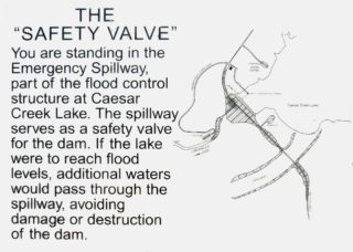 Licensed to Hunt Fossils | TrekOhio