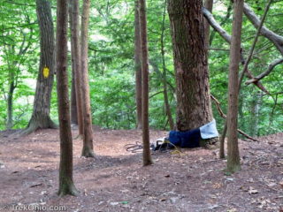 Hocking State Forest: Rock Climbing and Rappelling Area | TrekOhio