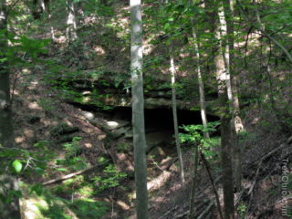 Boch Hollow State Nature Preserve | TrekOhio