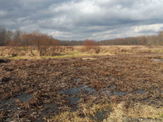 Killbuck Marsh Wildlife Area | TrekOhio