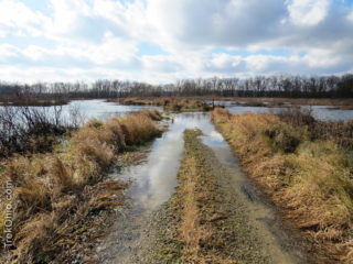 Killbuck Marsh Wildlife Area | TrekOhio