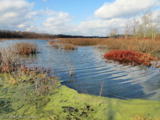 Killbuck Marsh Wildlife Area | TrekOhio