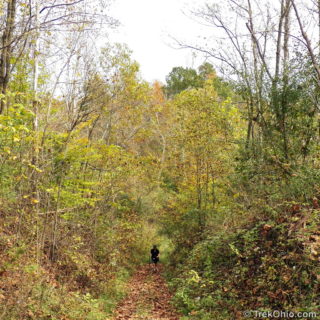 AEP ReCreation Land | TrekOhio