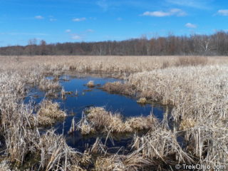 Spring Valley Wildlife Area | TrekOhio