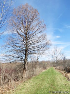 Spring Valley Wildlife Area | TrekOhio