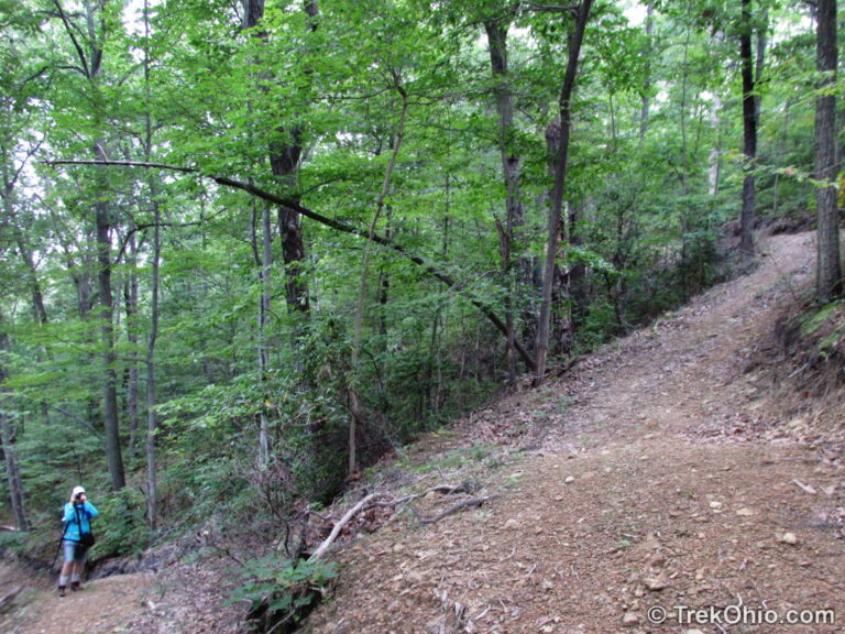 Shawnee Forest Day Hike Trail | TrekOhio