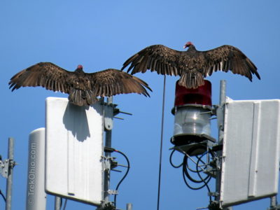 The Ridges Trail in Athens, Ohio | TrekOhio