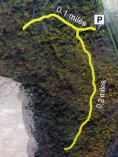 Fowler Woods State Nature Preserve | TrekOhio