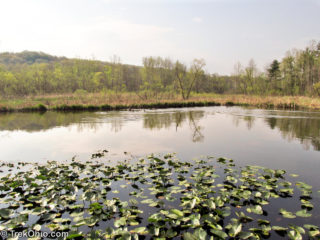 Cuyahoga Valley National Park: Beaver Marsh | TrekOhio