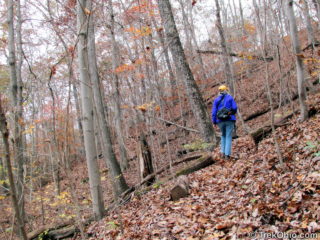 Raven Rock State Nature Preserve | TrekOhio