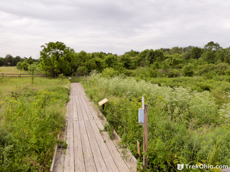 Cedar Bog in Late Spring | TrekOhio