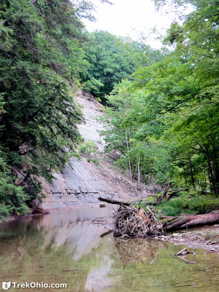 Hell Hollow Wilderness Area | TrekOhio