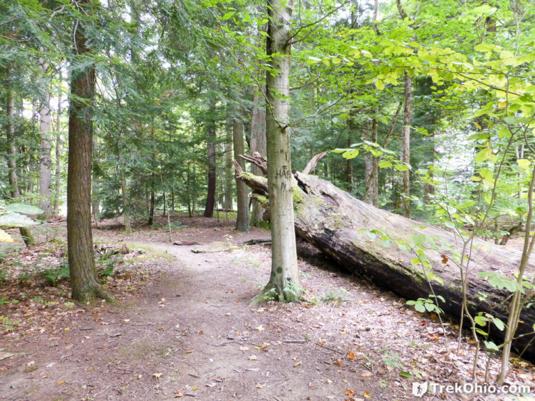 Hell Hollow Wilderness Area | TrekOhio