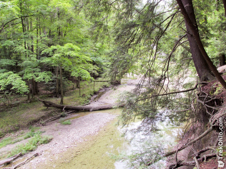 Hell Hollow Wilderness Area | TrekOhio