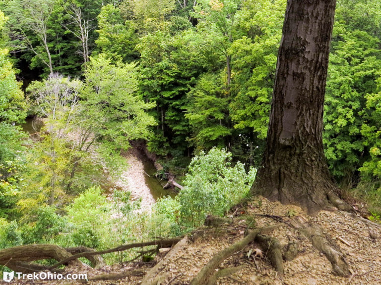 Hell Hollow Wilderness Area | TrekOhio