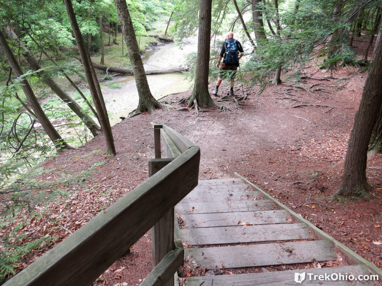 Hell Hollow Wilderness Area | TrekOhio
