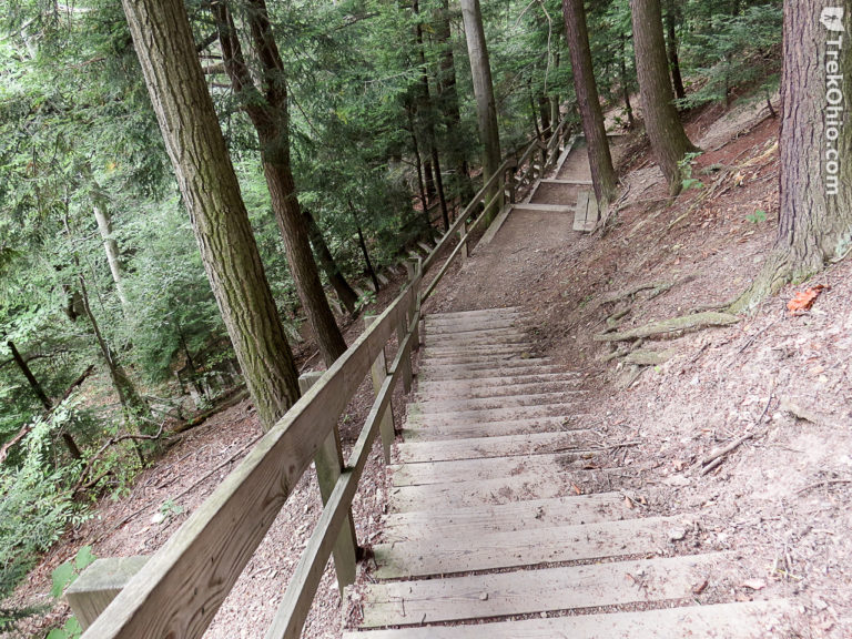 Hell Hollow Wilderness Area | TrekOhio