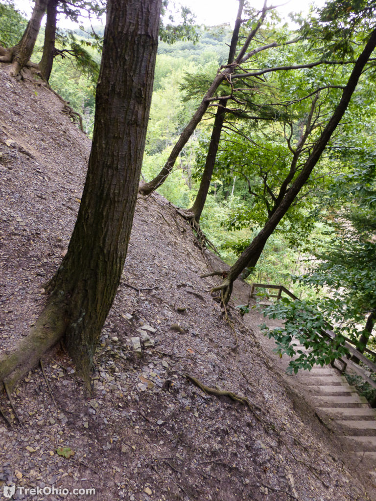 Hell Hollow Wilderness Area | TrekOhio