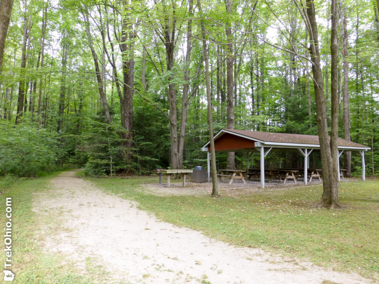 Hell Hollow Wilderness Area | TrekOhio