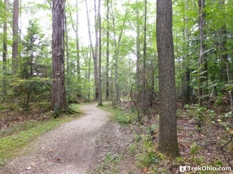 Hell Hollow Wilderness Area | TrekOhio