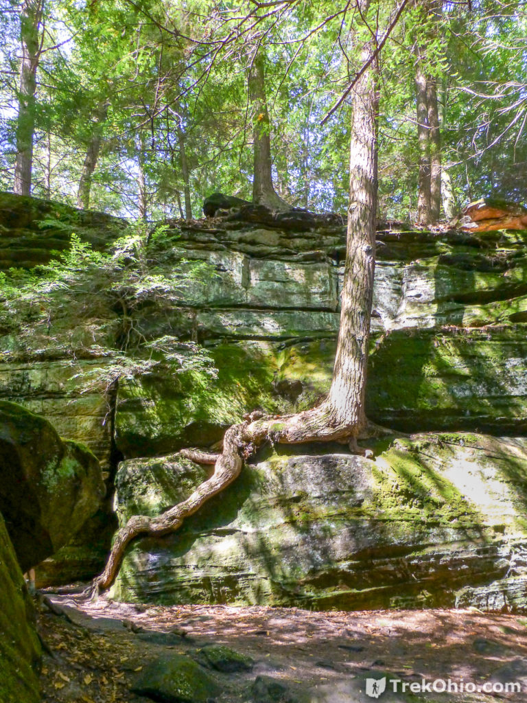Cuyahoga Valley National Park: Ledges Trail | TrekOhio