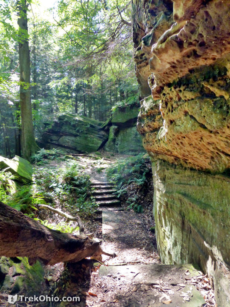 Cuyahoga Valley National Park: Ledges Trail | TrekOhio
