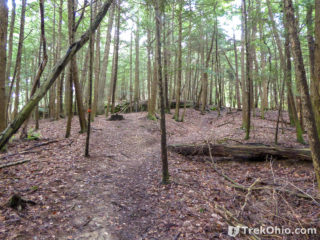 Saltpetre Cave State Nature Preserve | TrekOhio