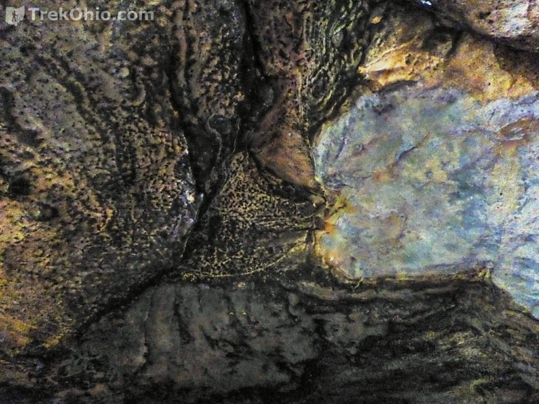 Saltpetre Cave State Nature Preserve | TrekOhio