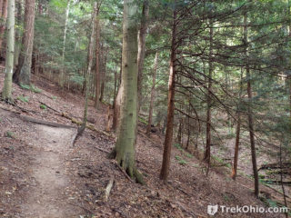 Mohican State Park: Gorge Overlook Trail and Swinging Bridge
