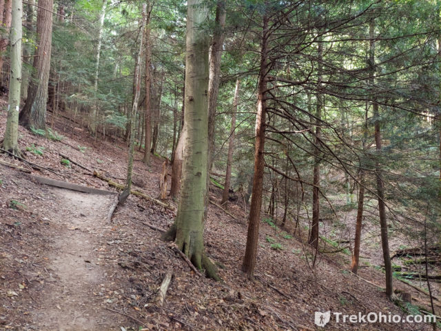 Mohican State Park: Gorge Overlook Trail and Swinging Bridge