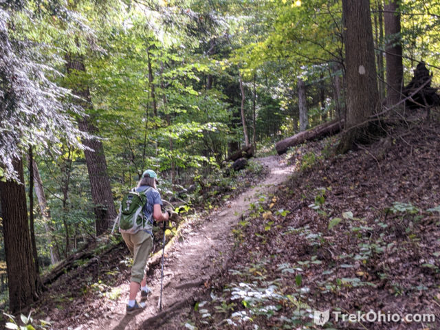 Mohican State Park: Gorge Overlook Trail and Swinging Bridge